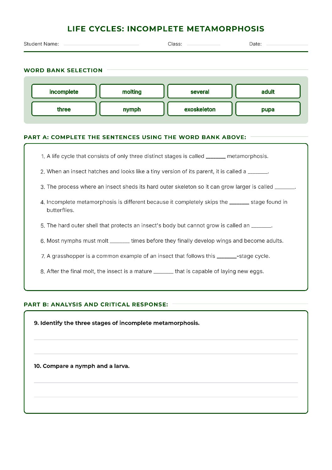 Life Cycles Incomplete Metamorphosis Science Worksheet. – EduMagnet